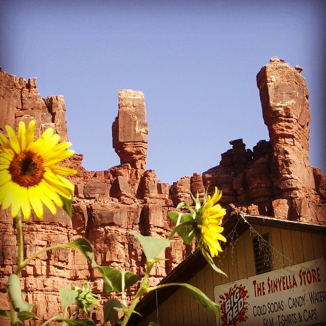 Journeys Of The Crew : Supai