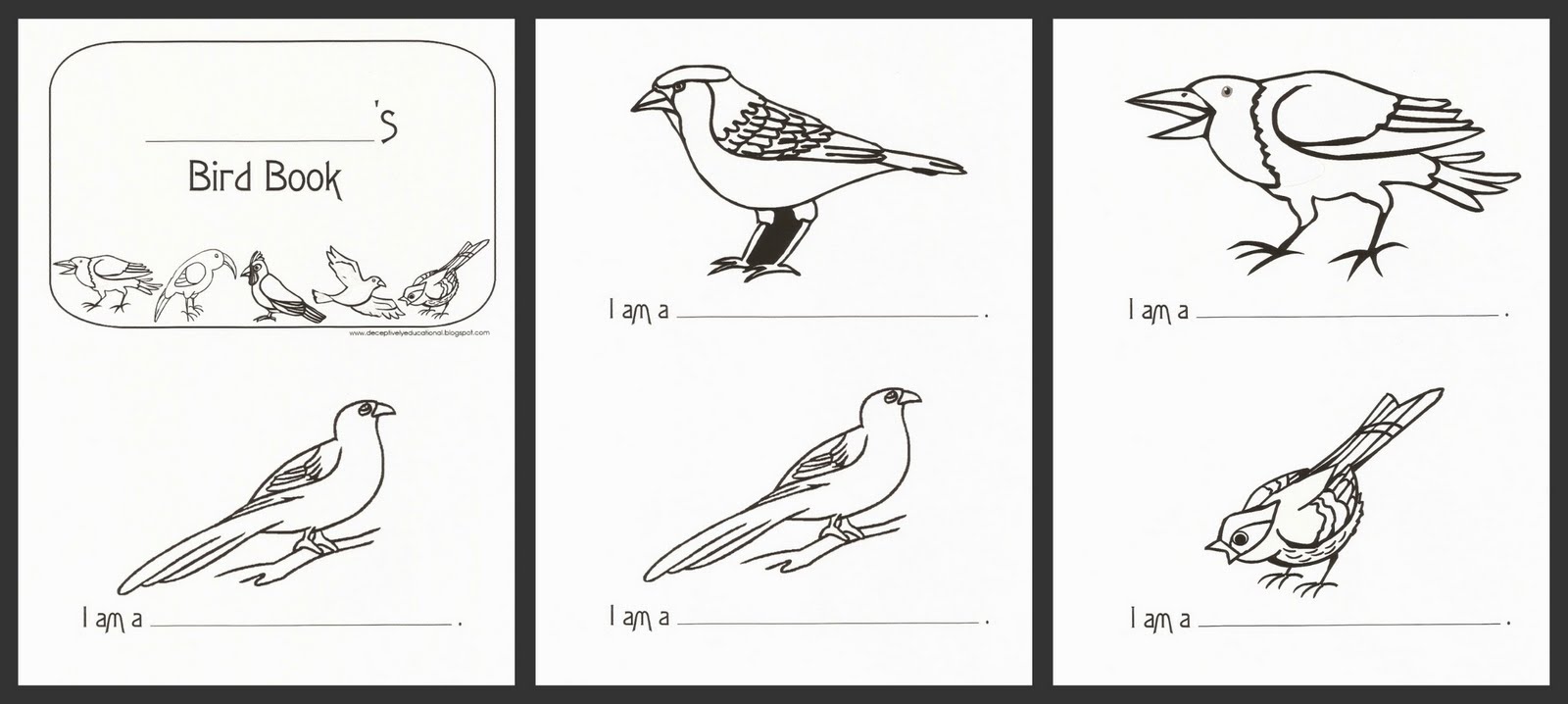 Relentlessly Fun, Deceptively Educational: Bird Feeder and DIY ...