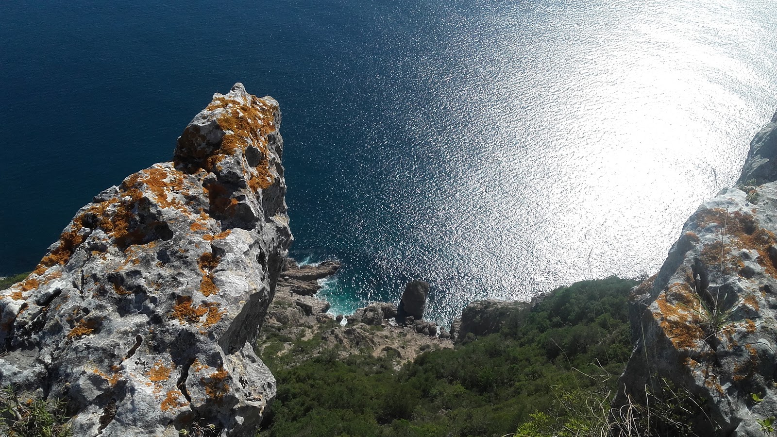 SURICATINA: Serra do Risco (Arrábida)