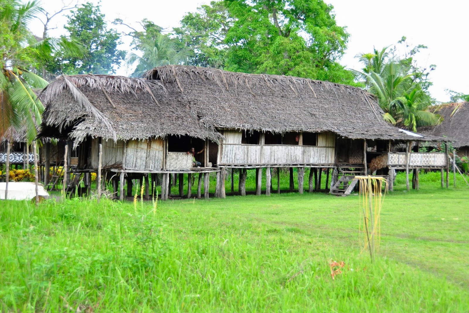 Viva la Voyage: Sepik RIver Villagers, Papua New Guinea