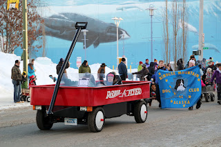 Sheryl's Great Adventure Year 2: Fur Rondy 2012 Parade and Speed Dog Race