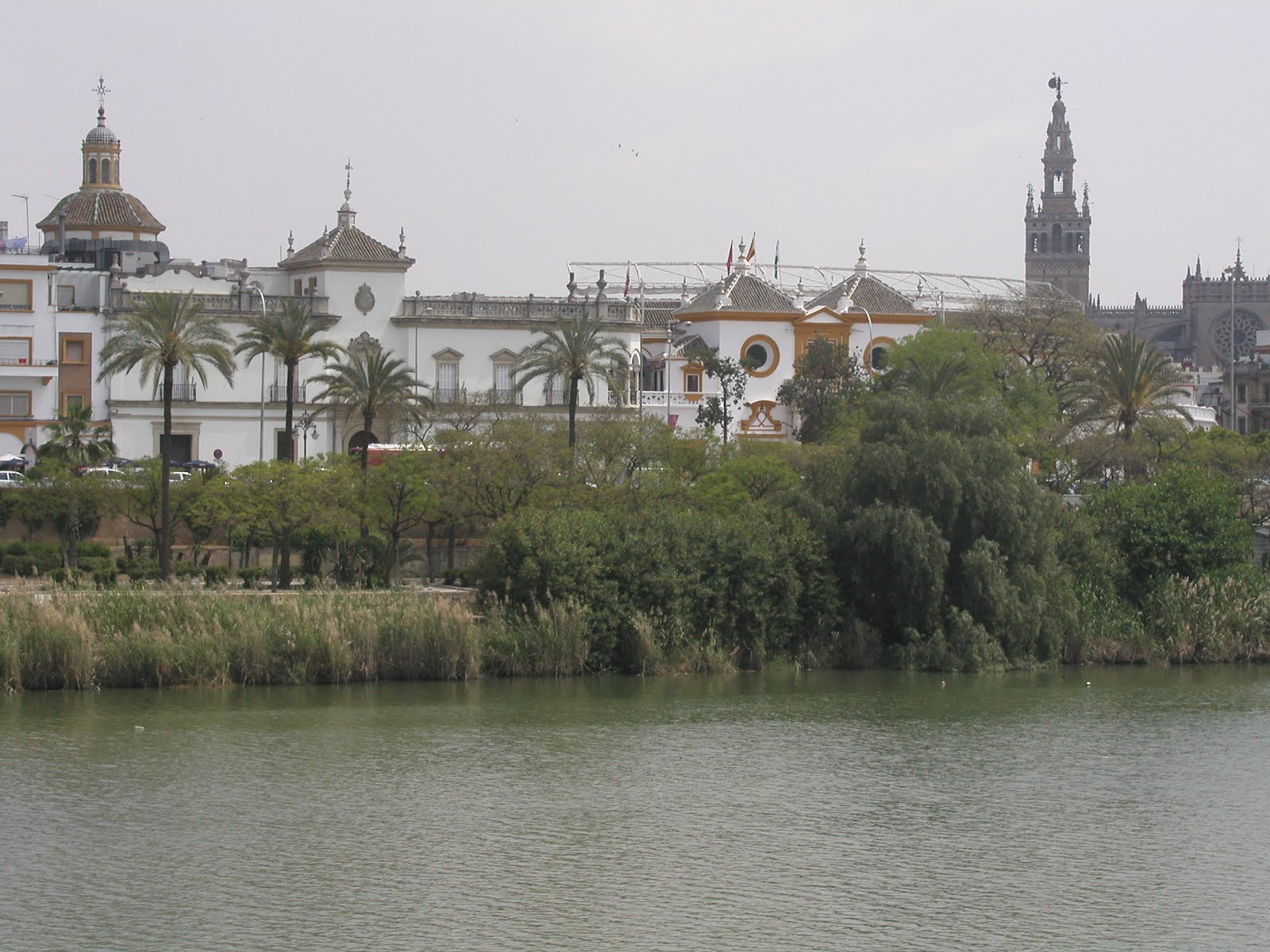 javierfuzzy: LA LA LA PERO NO ES MASSIEL