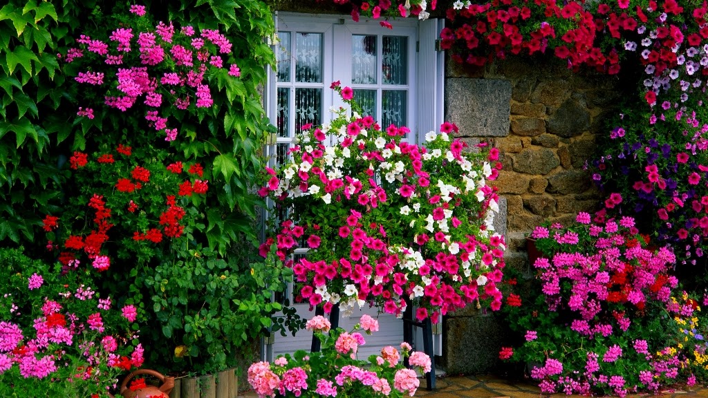 DIVAGAR SOBRE TUDO UM POUCO - Poemas, Flores, Pinturas, Férias: Casas ... DIVAGAR SOBRE TUDO UM POUCO - Poemas, Flores, Pinturas, Férias: Casas ...