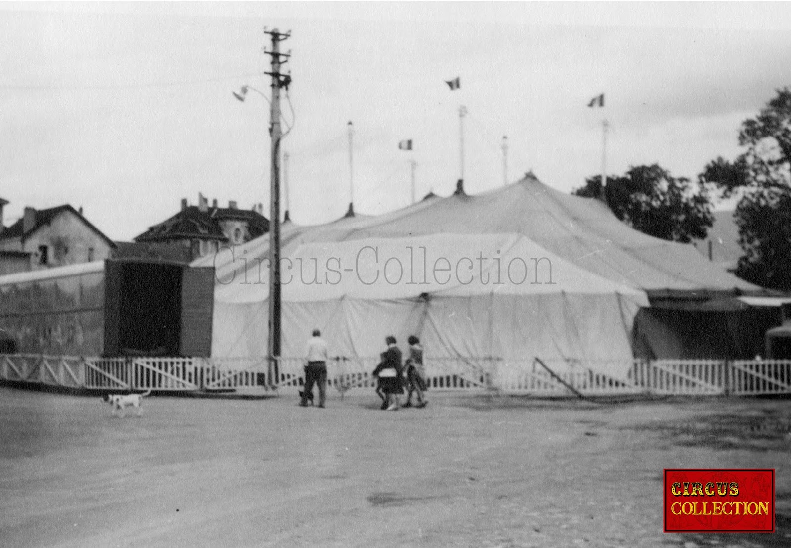Circus -Collection: Selection de photos du Cirque Amar en 1960
