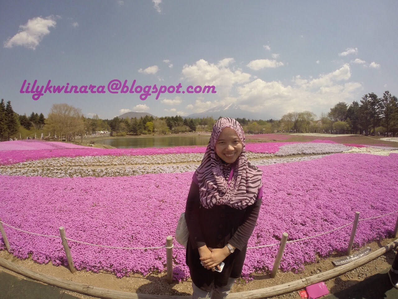 Ceritaku_Ilhamku_Hidupku**~: Teaser travelog musim bunga di Jepun