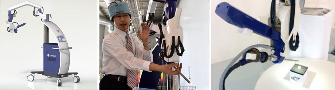 The Japanese EMARO robot