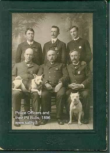 Lisa's World: Old Police Dogs