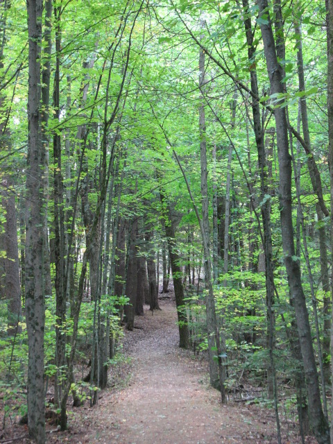 Red Rocks Park -South Burlington, Vermont | Litter with a Story To Tell
