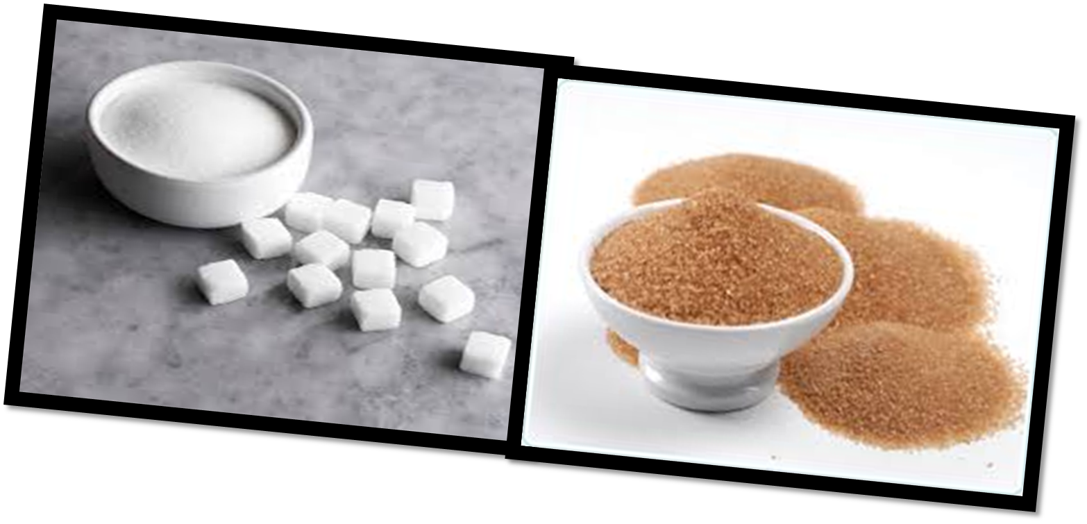 ¿De Donde Viene el Azucar? ~ TodoCiencias