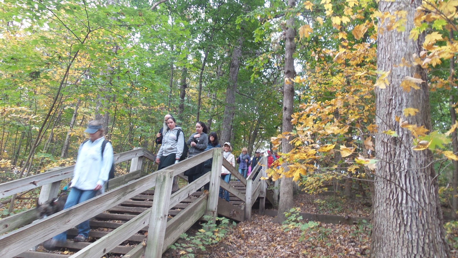 Hike Starved Rock: Matthiessen State Park 10-20-2016