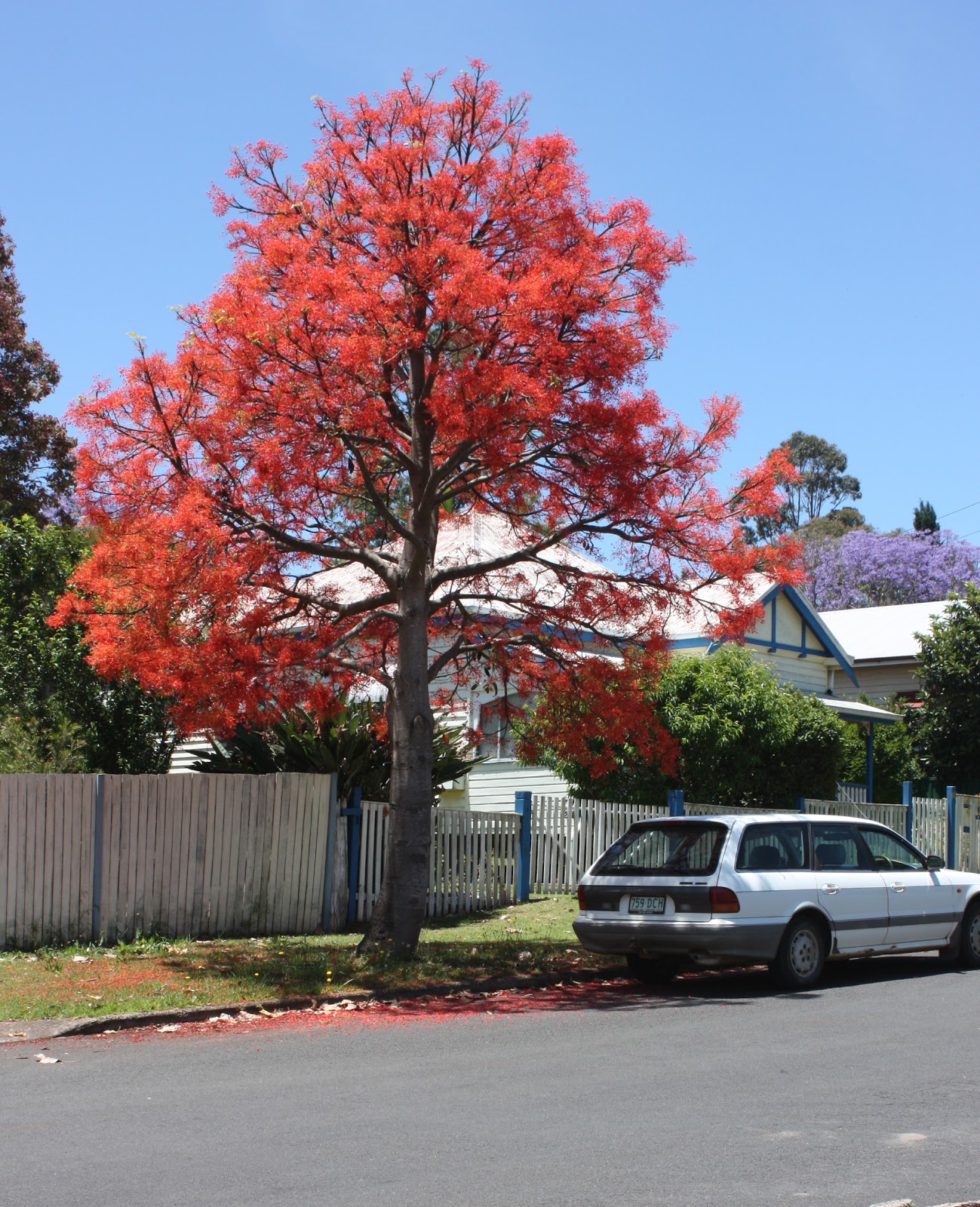 High Country News : November 2012