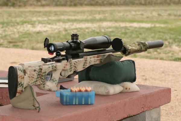 Armas de Fuego: AWF y AWSM