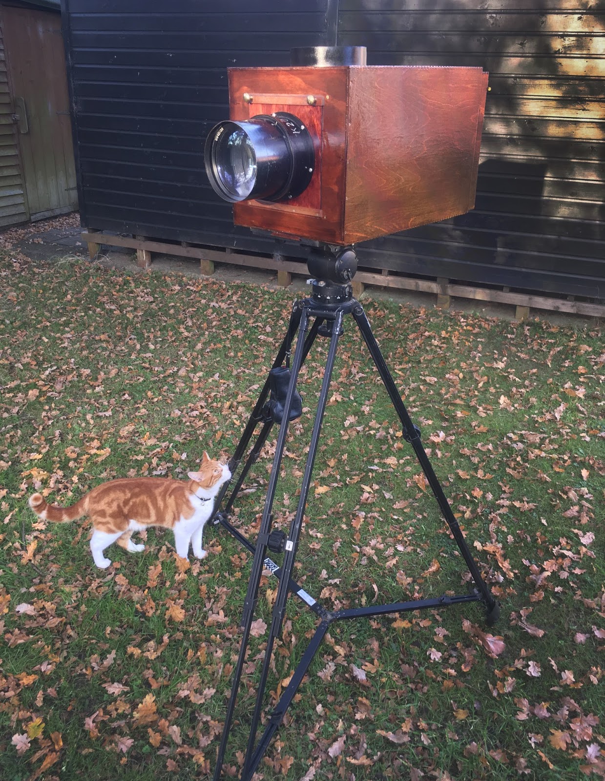 Alternative Process User's Group: Drop Guillotine Shutters and hefty ...