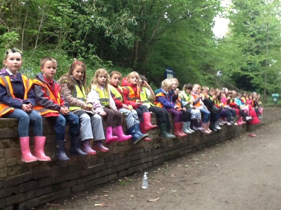 Wheelock Primary School: Nature Detectives - Wheelock Rail Trail