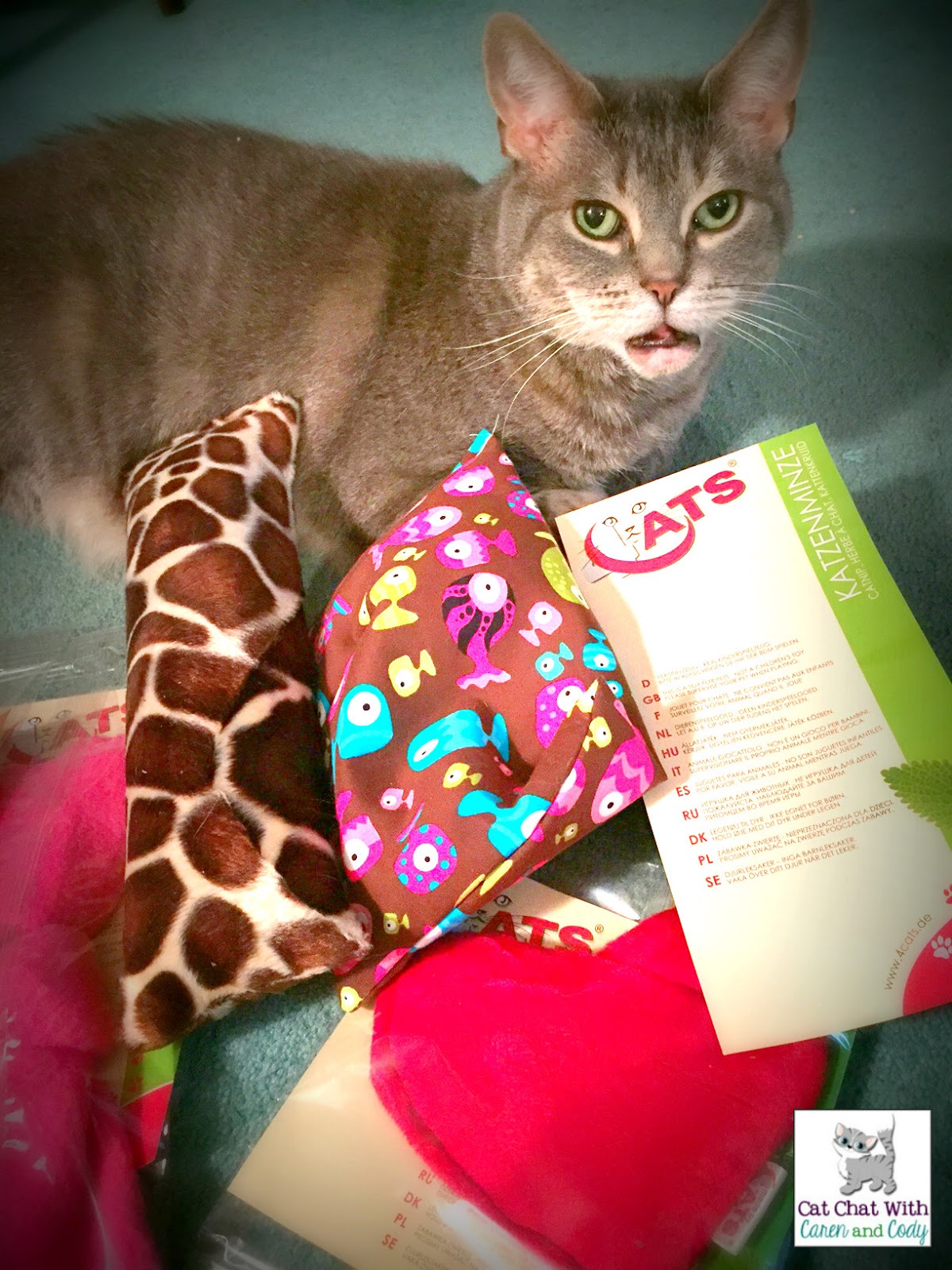 Cat and DOG Chat With Caren: Cat Toy World-Wide Give-Away from 4CATS ...