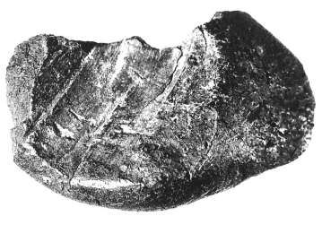 The Subversive Archaeologist: More Birch Tar From Germany: Königsaue