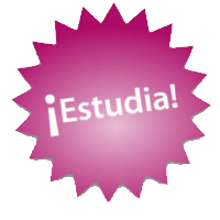 AYUDAR A ESTUDIAR: CÓMO PUEDEN SER LOS ALUMNOS