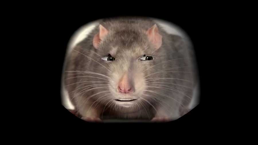 Lone Star Parson: CAPITOL HILL RATFEST