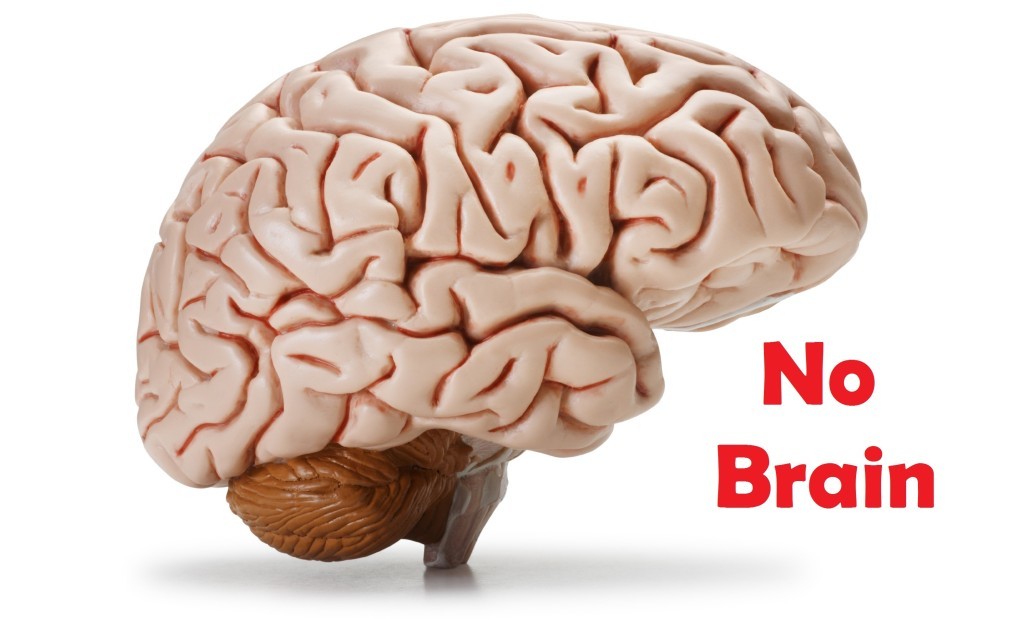 كيف تؤدي بعض الكائنات الحية وظائفها الحيوية … بلا أدمغة؟ - Thoughts Salad سلطة أفكـــار