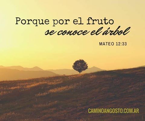 Aprendiendo la Sana Doctrina: Mateo 12:33