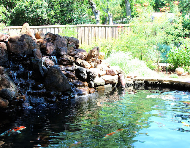 Rainbow Magic Sparkle Butterfly : My View on the 2013 Dallas Water ...