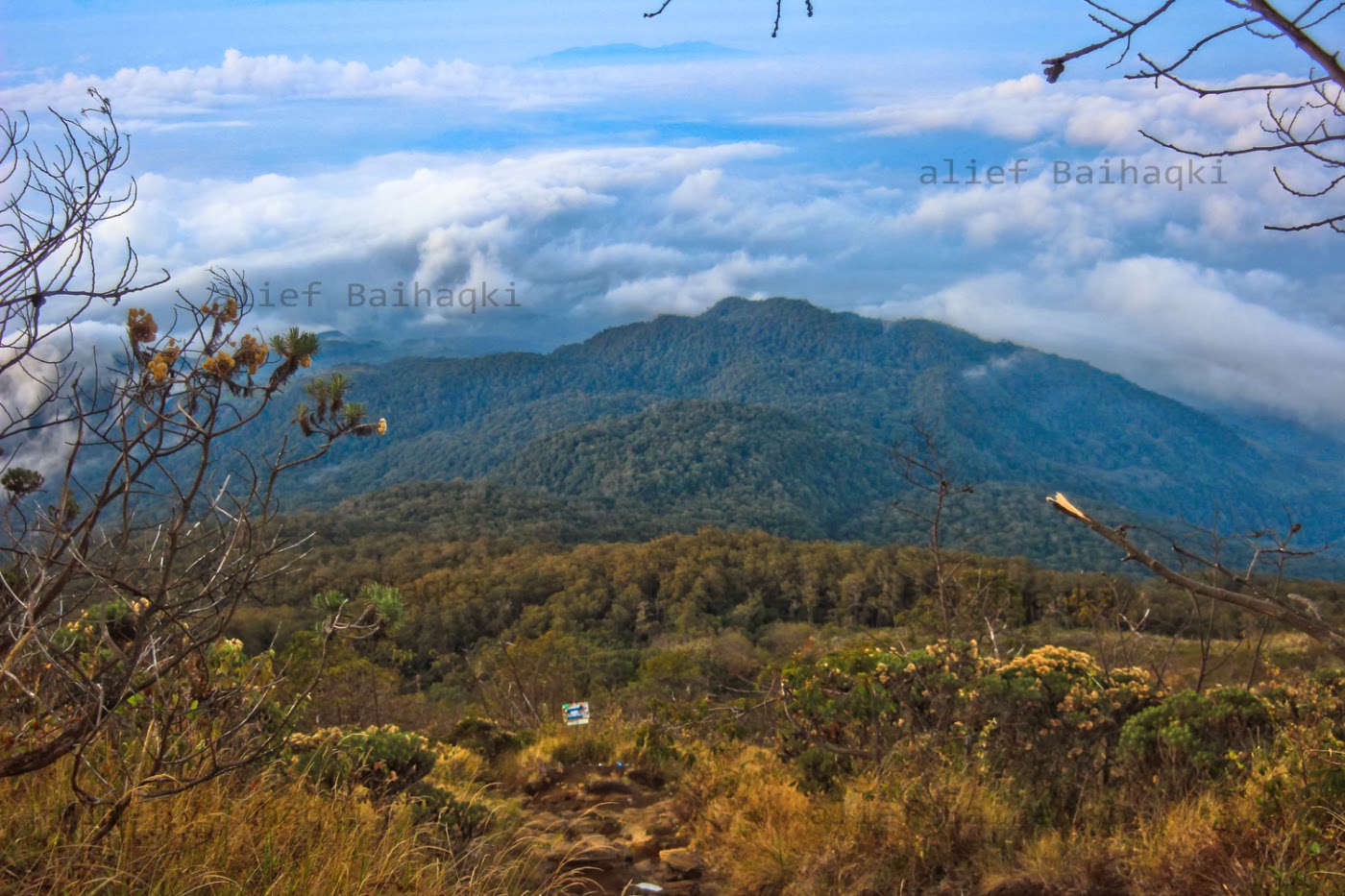 Gunung Ciremai Dijual Rp60 Triliun | Blog Penguintanah - Biar ...