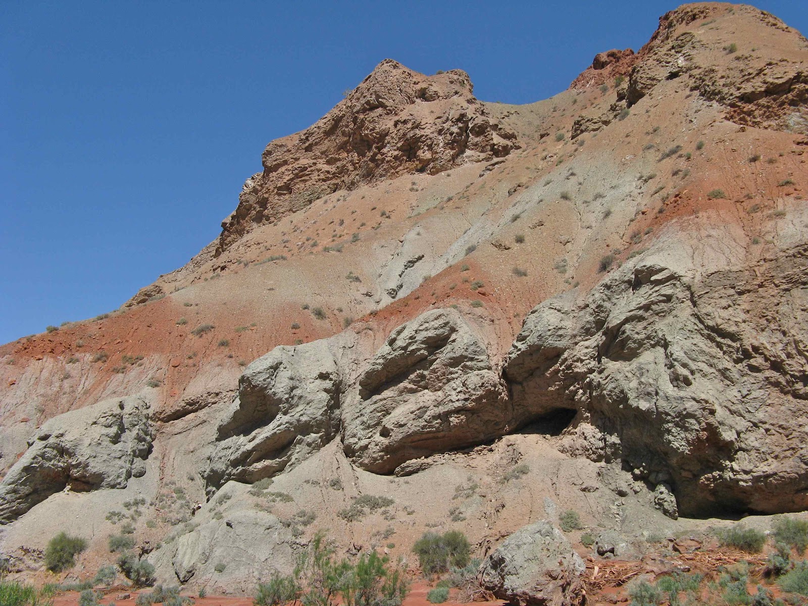 In the Company of Plants and Rocks: Paradox Exposed