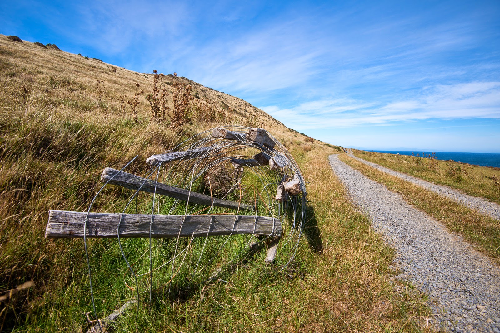 NZ Must Do: Adventures in Wellington - the walk to Baring Head ...