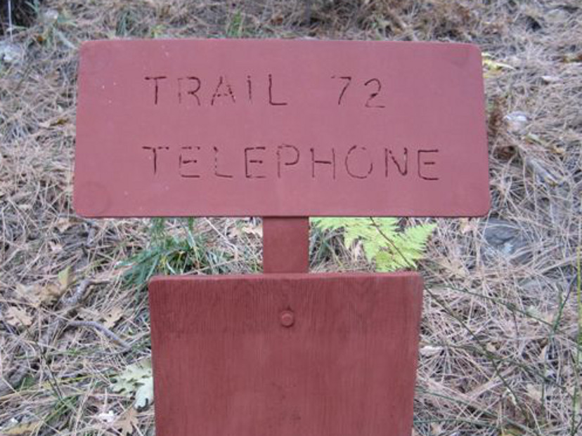 What's Up with Ellis: Telephone Trail