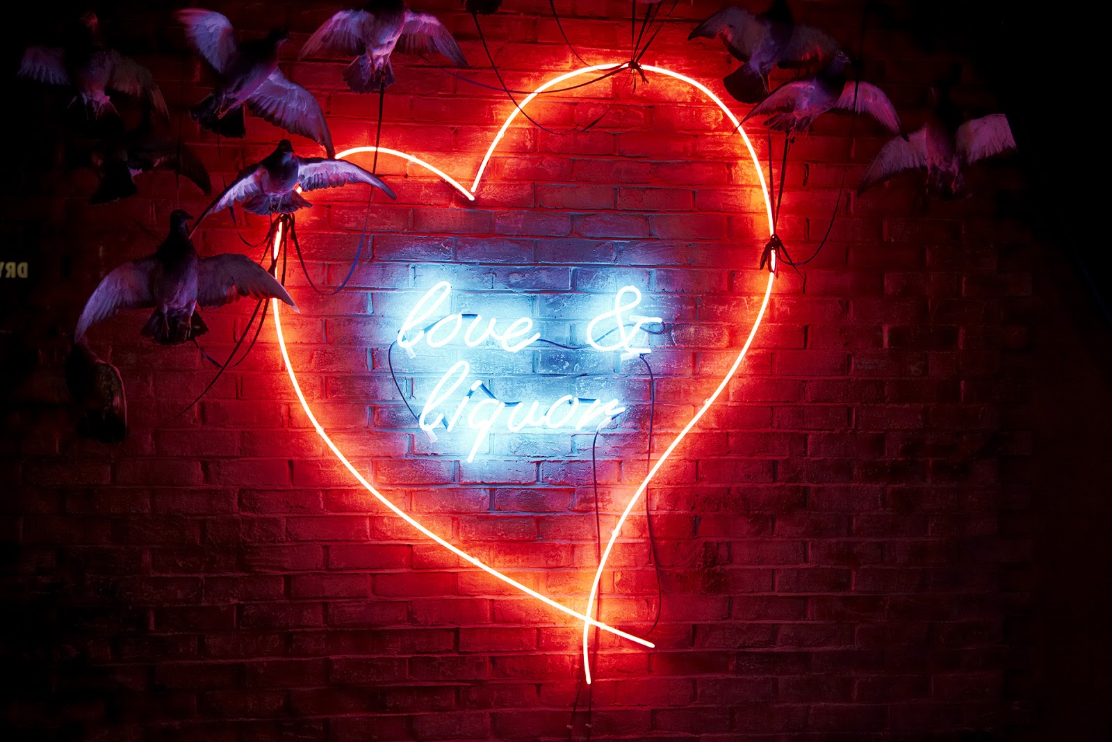 Amazing Hearts Pictures in HD | Love Communication