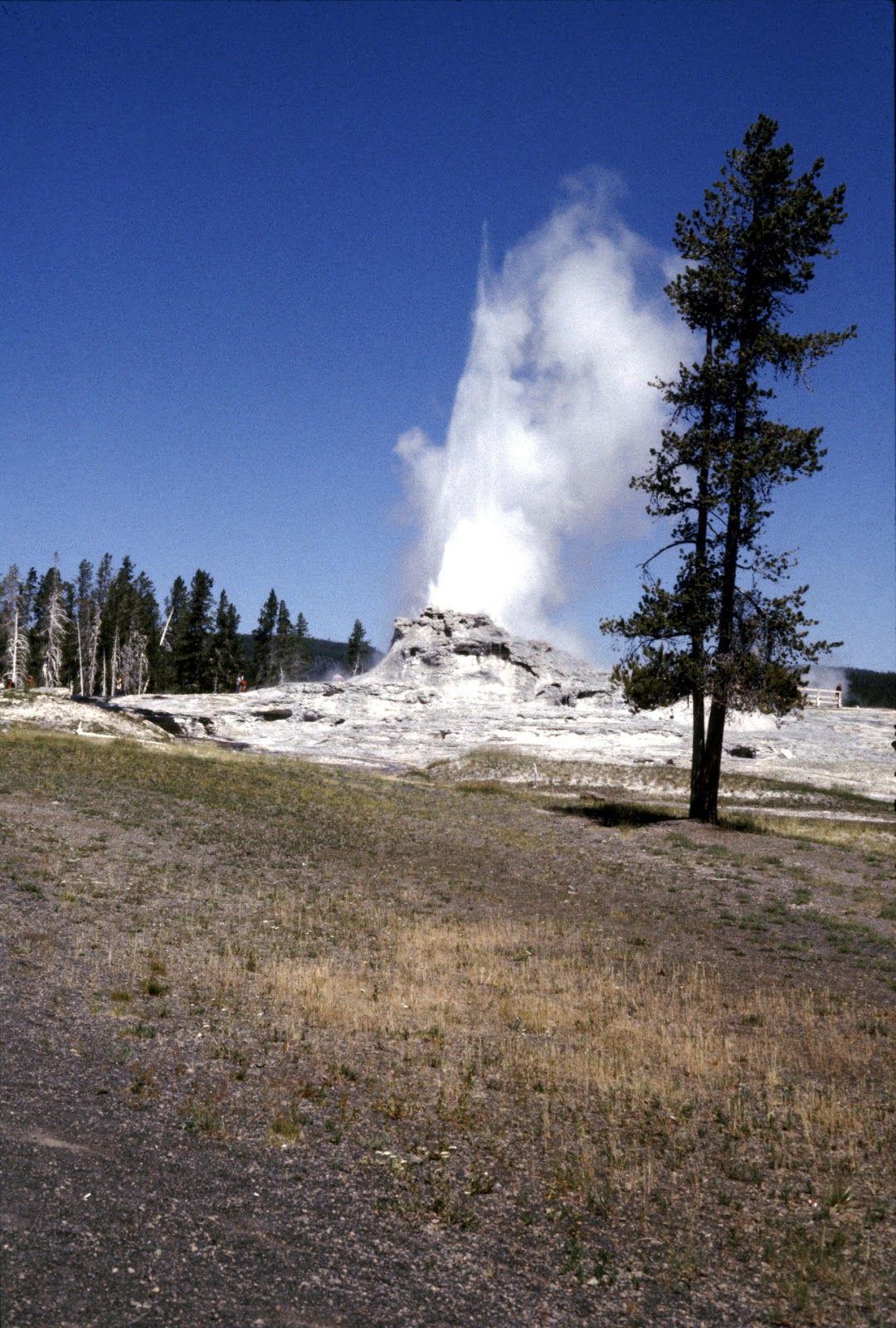 The Young Coot's 1981 TransAmerica Trail Adventure: 23: Jackson Lake ...
