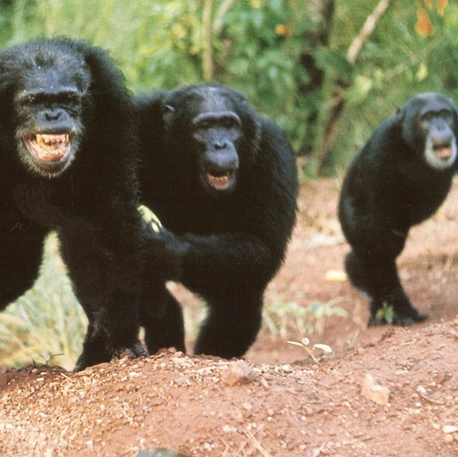 The Liberal Pulpit: A Natural and Religious History of Compassion, Part 3