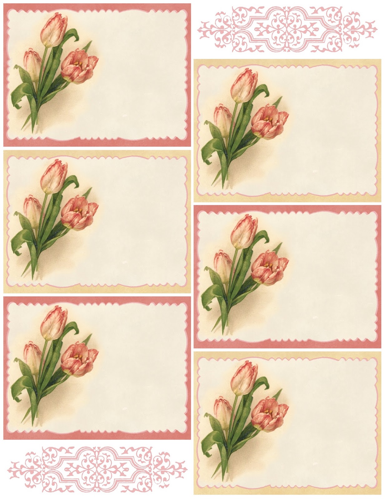 Lilac & Lavender: Pink Tulips ~ Spring is Here!