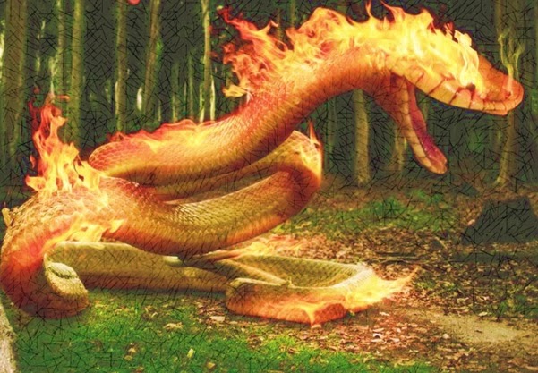 Blog SÓ PUDIA SER Ó WAL: Lendas Urbanas - Boitatá