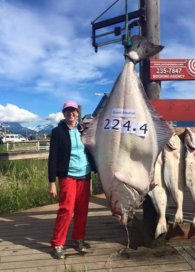 International Fishing News: ALASKA: caught a 224.4 pound halibut