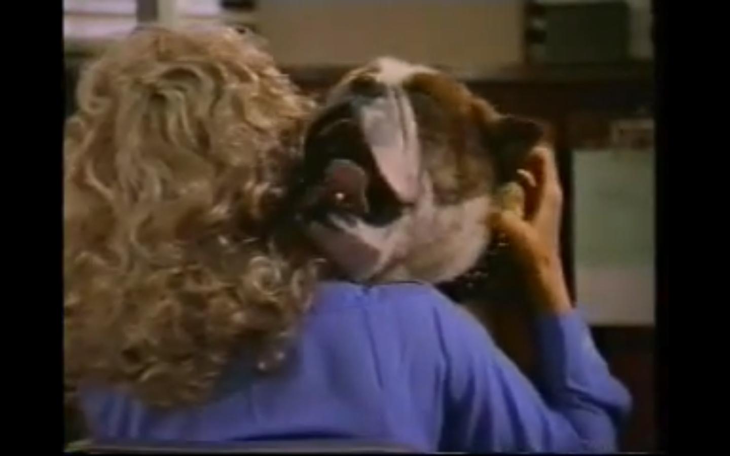 Poochinski - Alchetron, The Free Social Encyclopedia