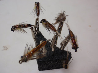 Casters Fly Shop / Dave Hise: Burrowing Mayflies Abound