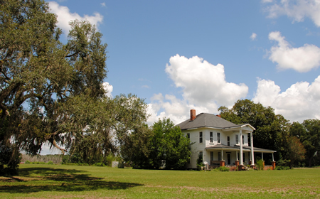 Desolation Florida: Wellborn