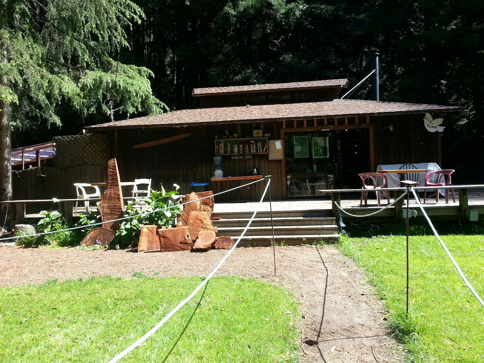 Captivated Reader: Henry Miller Memorial Library in Big Sur, California