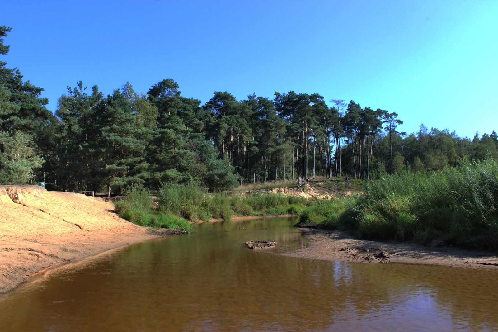 Op fotografieavonduur in Lutterzand | Senna's Fotoblog