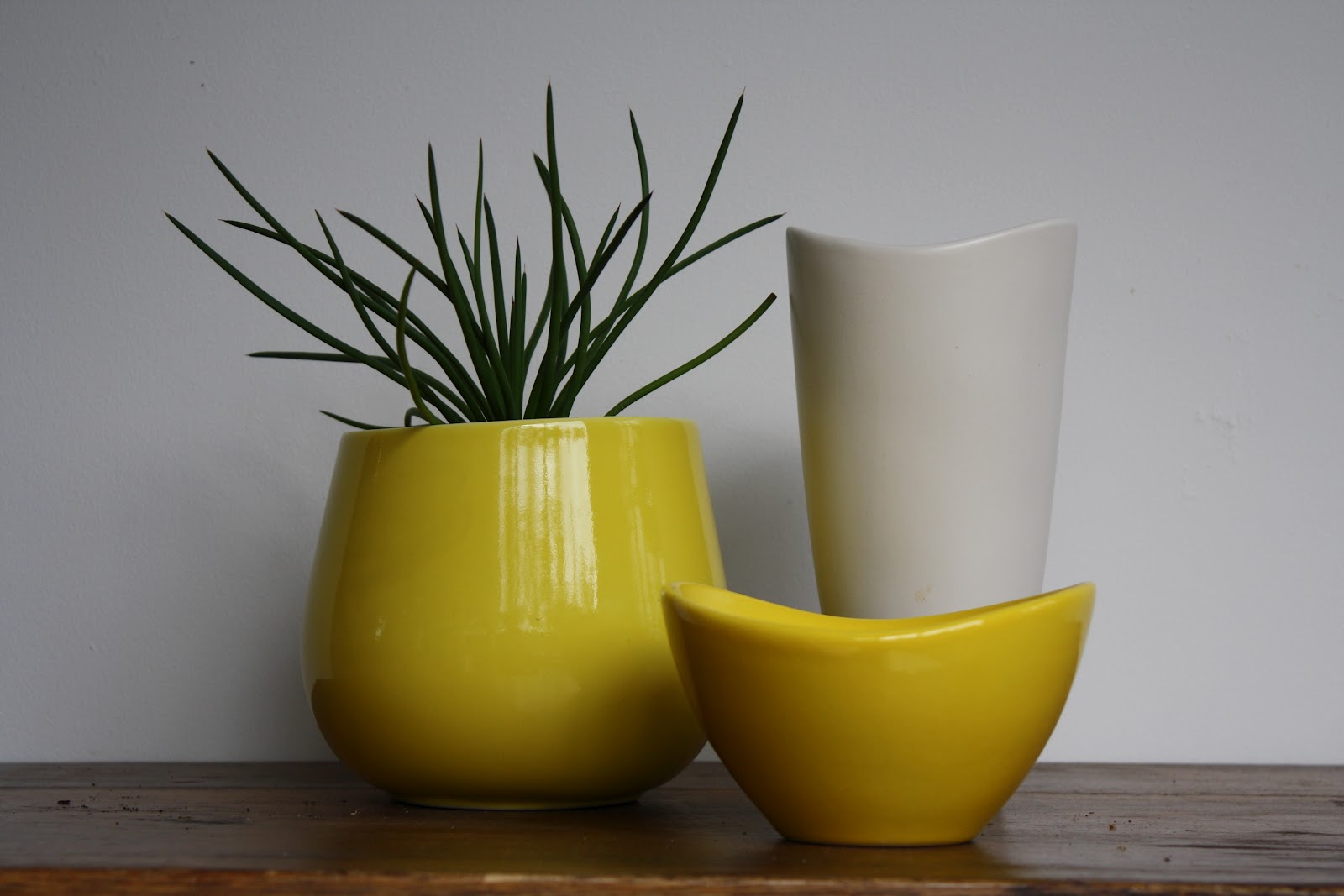 Garden Creative: 101 Indoor Plant Ideas-Post #1