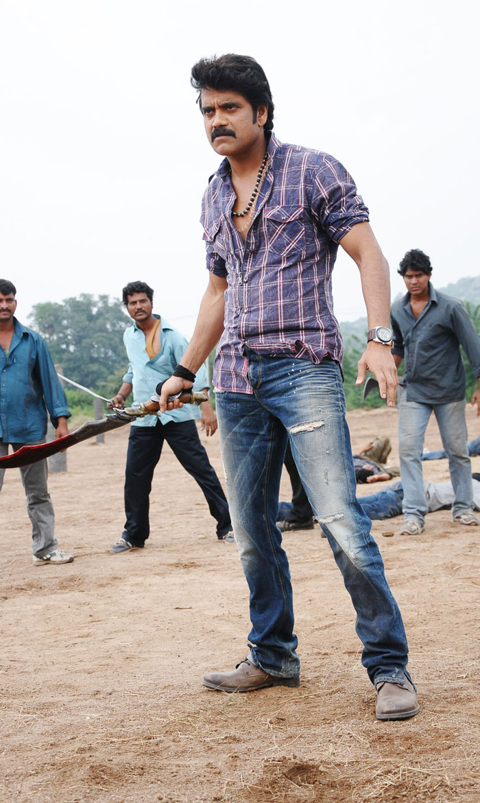 Vambu Movie Stills online,Nagarjuna Anushka Priyamani Latest Pictures