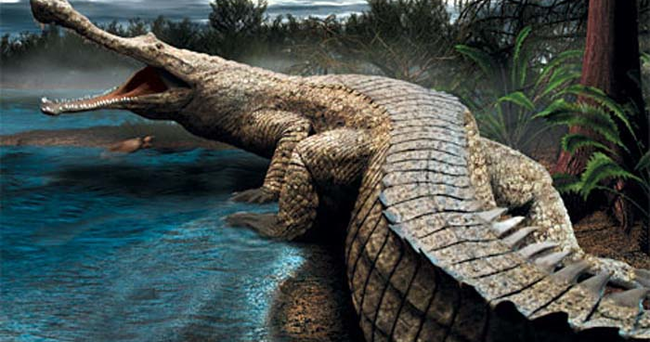 Os 11 animais extintos mais aterrorizantes do mundo | As Notícias no Face