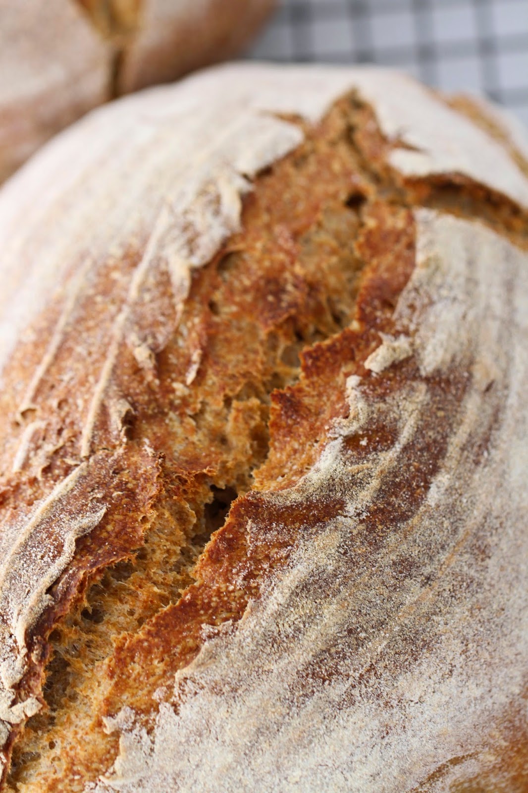 50% Whole-Rye and Whole-Wheat Bread - Ever Open Sauce