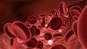 Pengertian Darah, Fungsi Darah, dan Komponennya