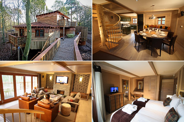 opalblog: Treehouse Homes