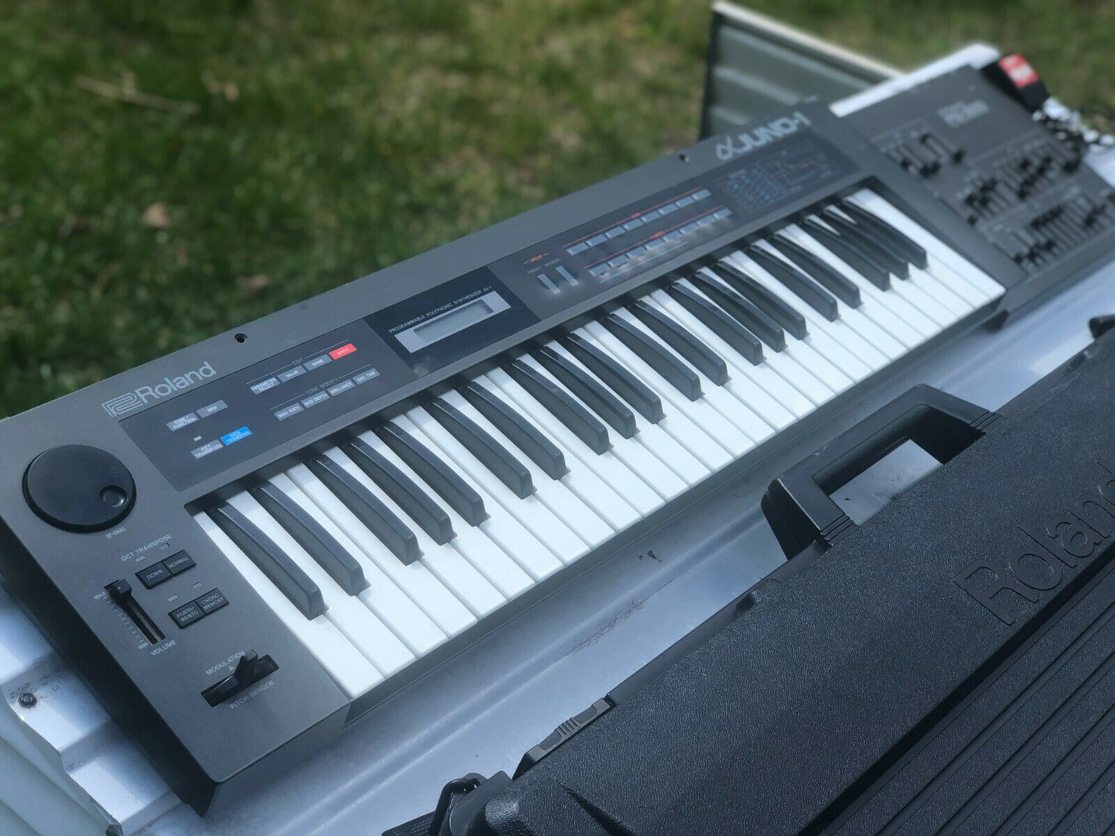 MATRIXSYNTH: Roland Alpha Juno 1 w/ PG-300 & Roland AB-3 Case