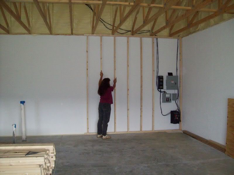 Mike and Lisa's World: Chapter 16...How To Build A Wall