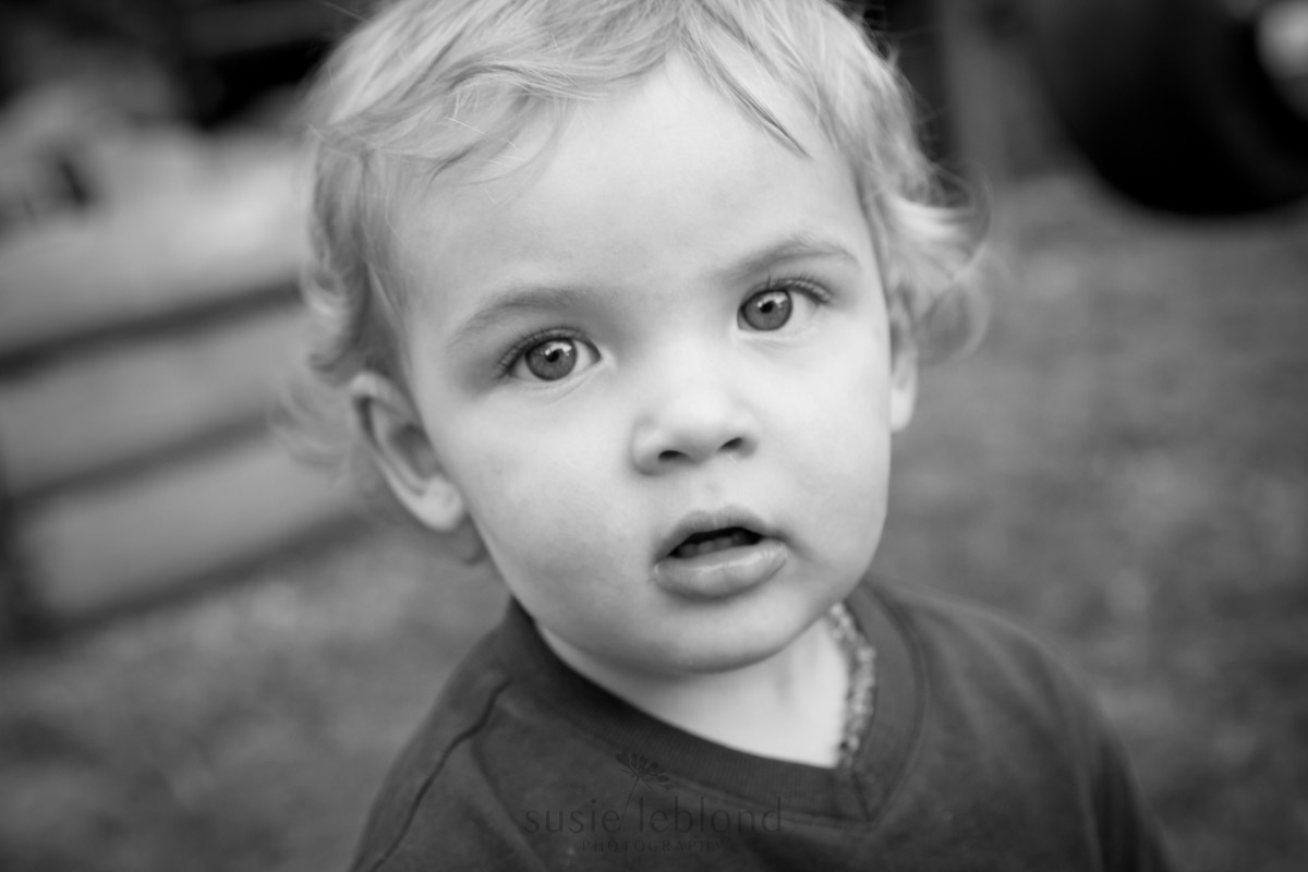 susie leblond photography: Hardiman Family