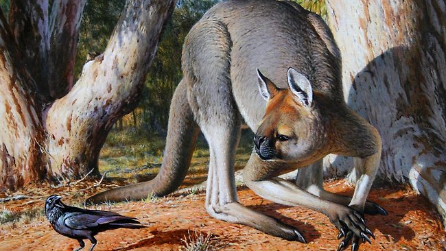 Australian Megafauna hunted to death
